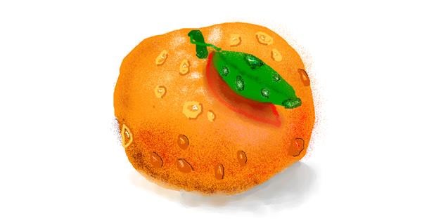 Drawing of Orange by Mia - Drawize Gallery!
