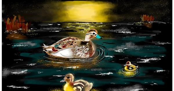 Drawing of Duck by Eclat de Lune - Drawize Gallery!