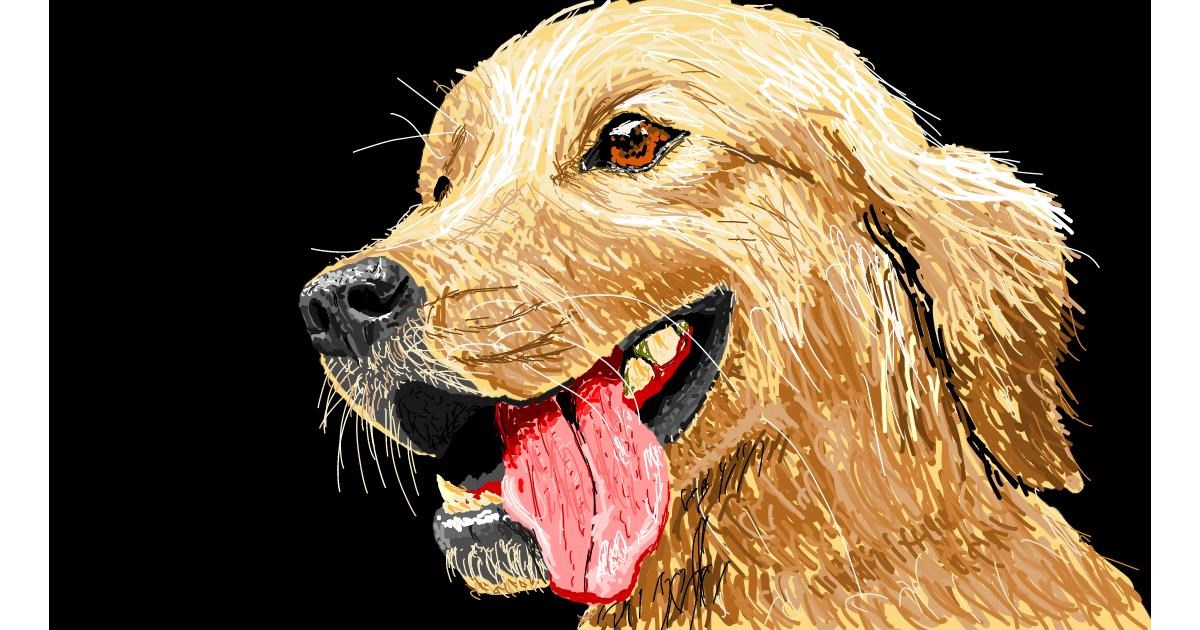 Watch Sam draw Dog!