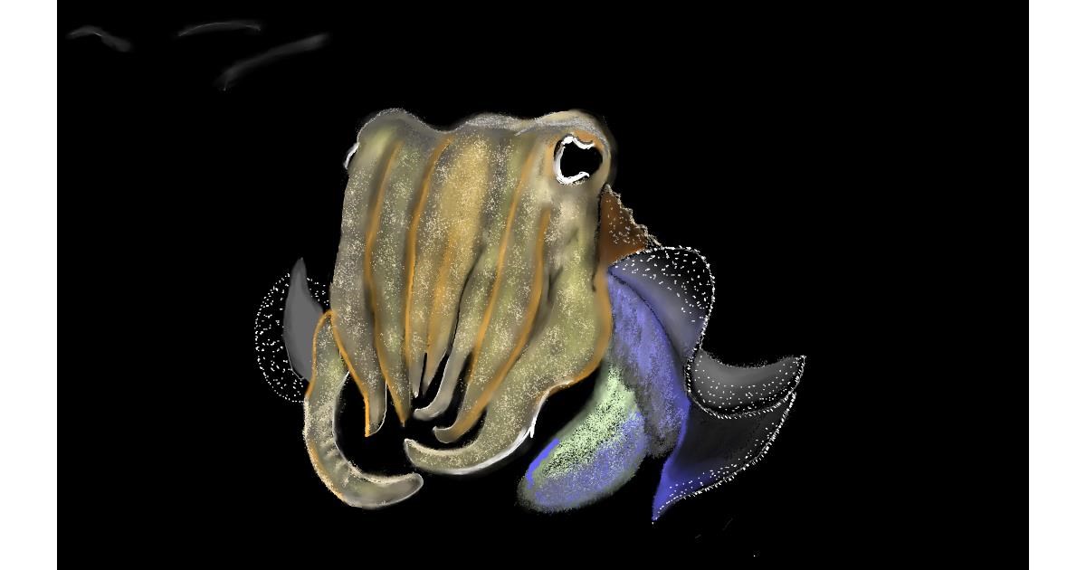 Watch Chaching draw Cuttlefish!