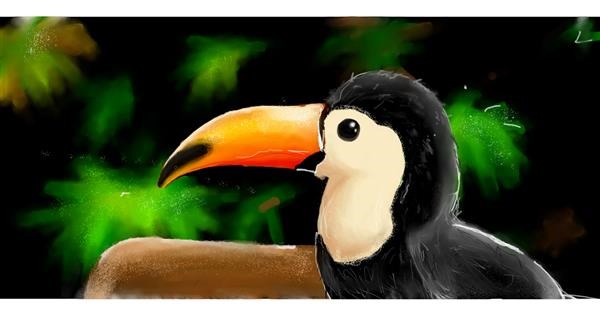 Drawing of Toucan by 隱形天使女孩 喝 - Drawize Gallery!