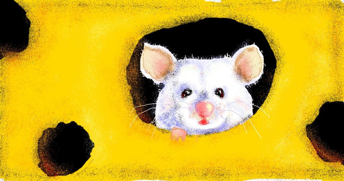 Watch Paranoia draw Cheese!