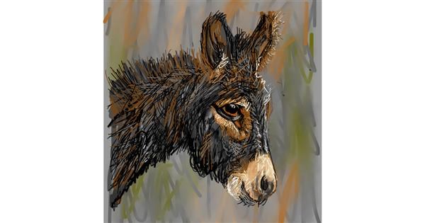 Drawing of Donkey by KayXXXlee - Drawize Gallery!