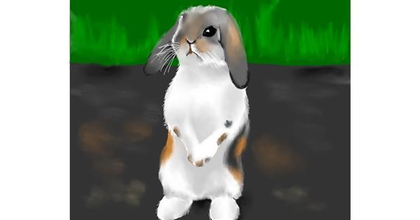 Drawing of Rabbit by Cec - Drawize Gallery!