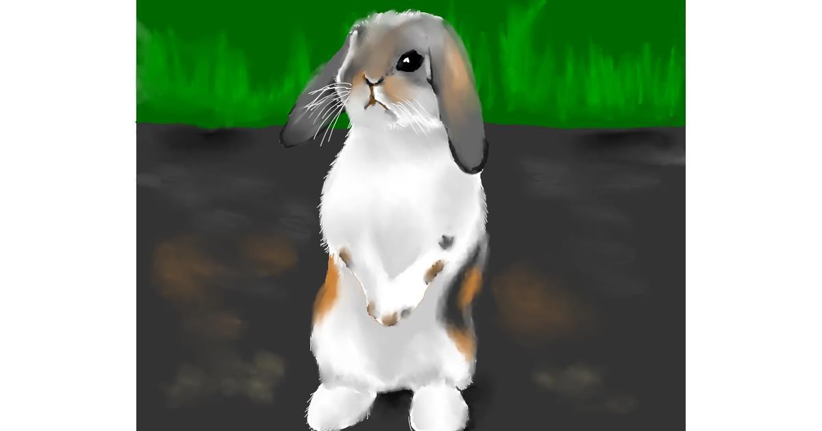 Watch Cec draw Rabbit!
