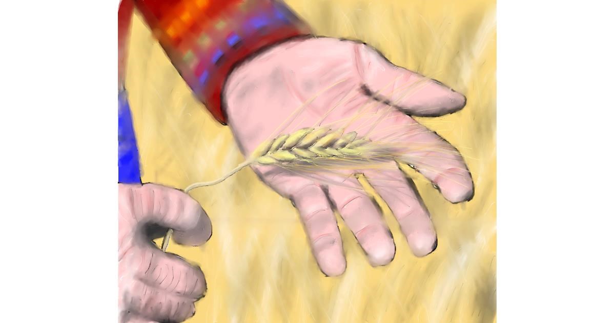 Watch Wizard draw Wheat!