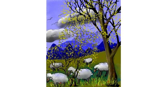 Ovca - crtež od autora: Leah - Drawize galerija!