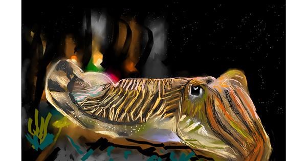 Drawing of Cuttlefish by Herbert - Drawize Gallery!