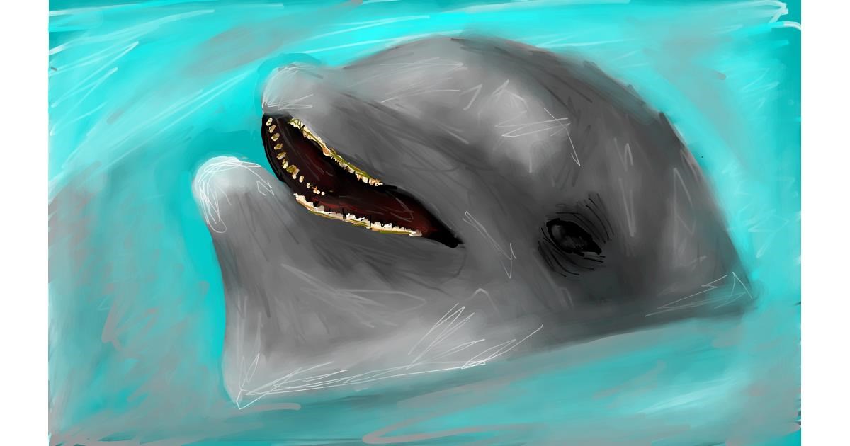Watch Mia draw Dolphin!