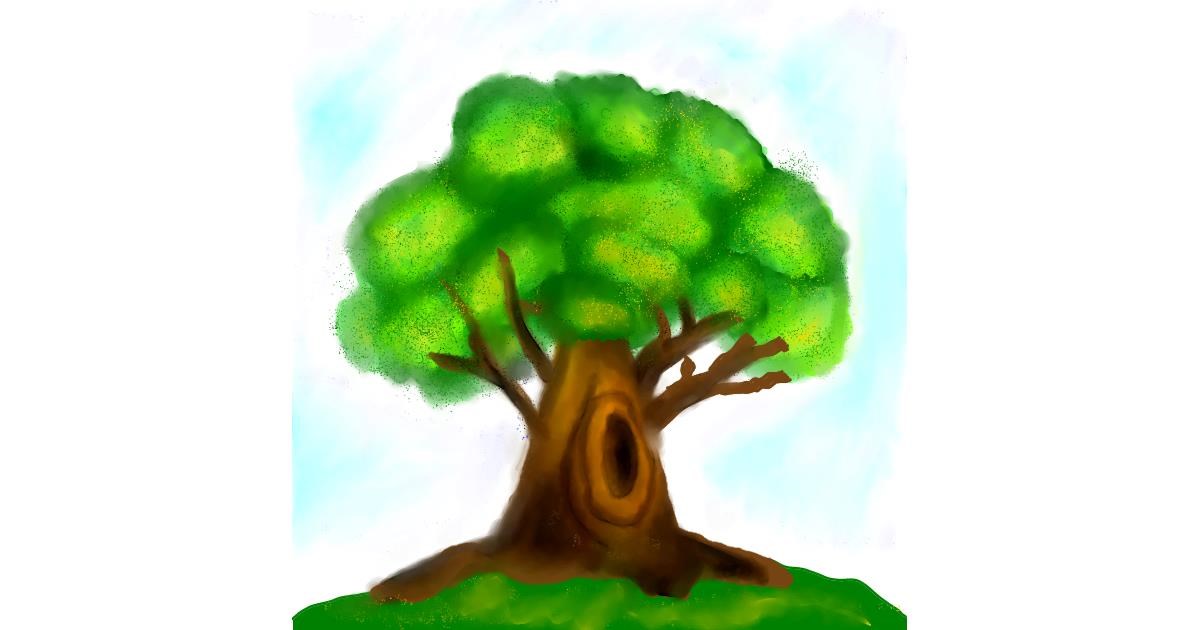 Watch Lou draw Tree!