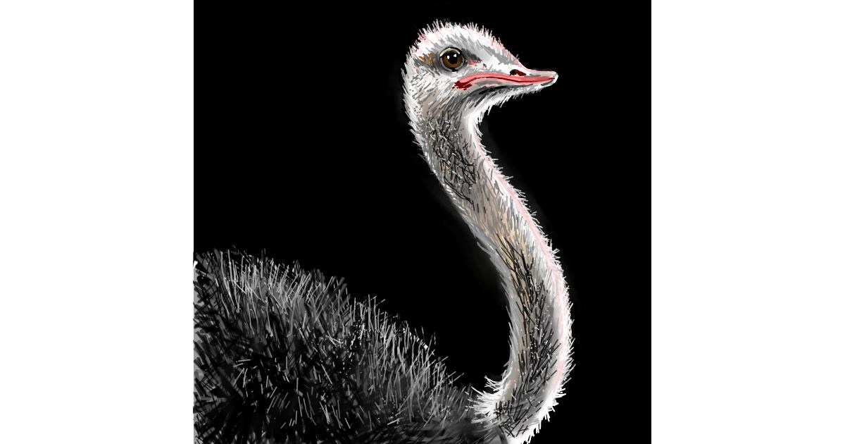 Watch ⋆su⋆vinci彡 draw Ostrich!