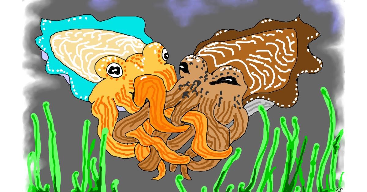 Watch flowerpot draw Cuttlefish!