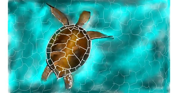Drawing of Sea turtle by Mandy Boggs - Drawize Gallery!