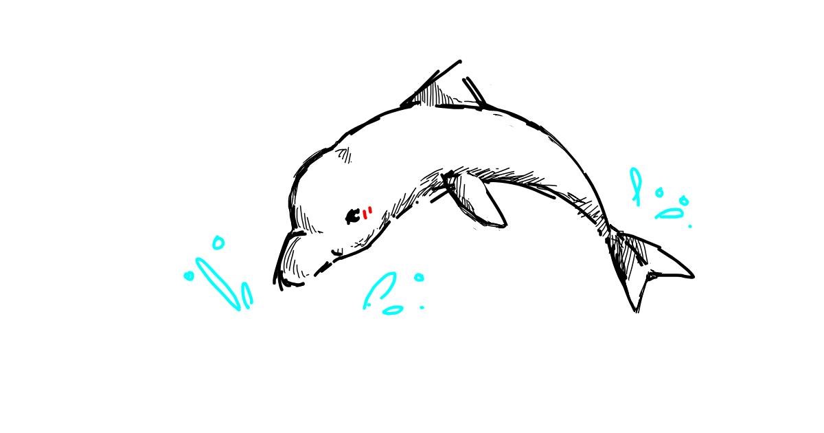 Watch reem draw Dolphin!