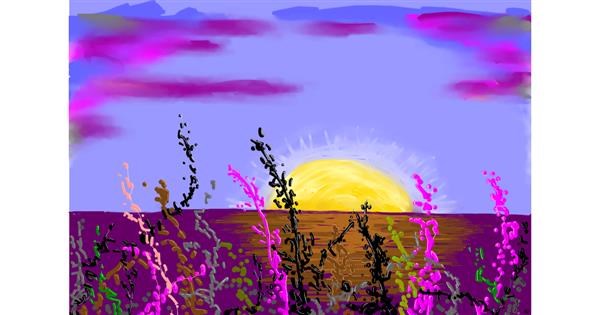 Drawing of Sunset by flowerpot - Drawize Gallery!