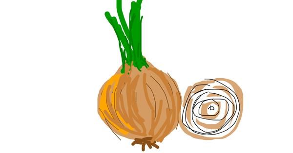 Onion Drawing - Gallery and How to Draw Videos!