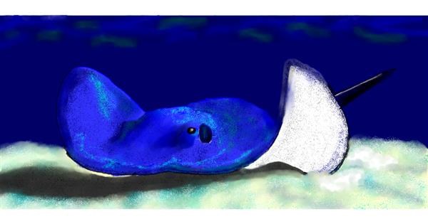Stingray Drawing - Gallery and How to Draw Videos!