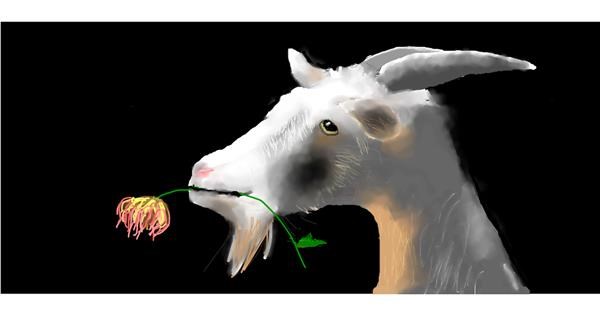 Drawing of Goat by Soraya - Drawize Gallery!