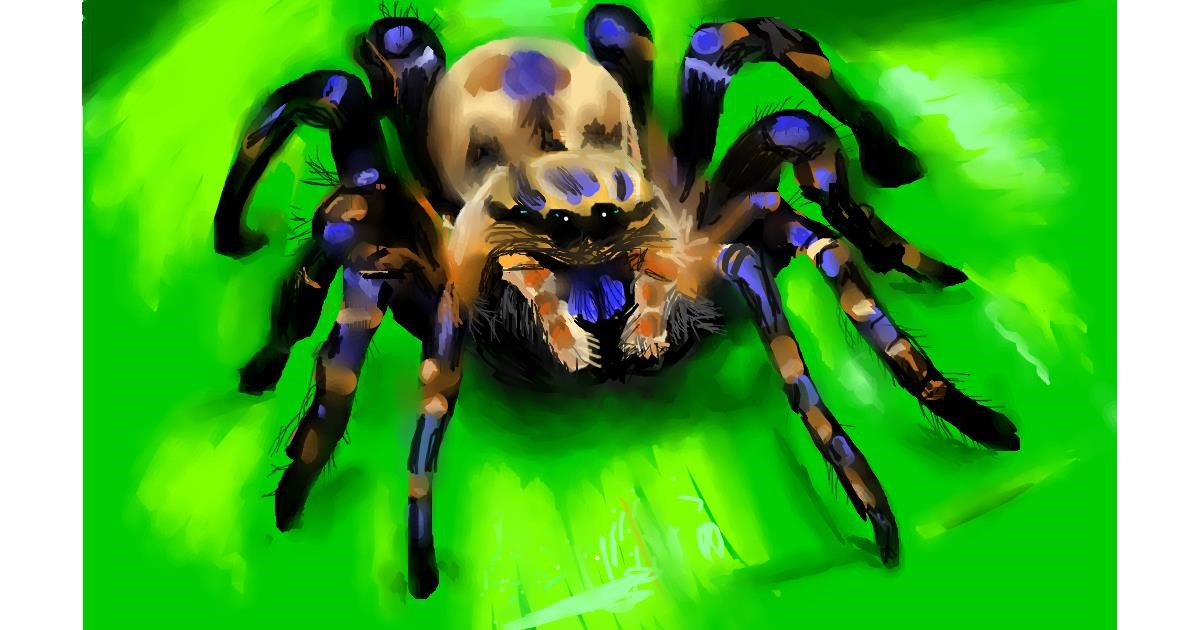 Watch Edgar draw Spider!