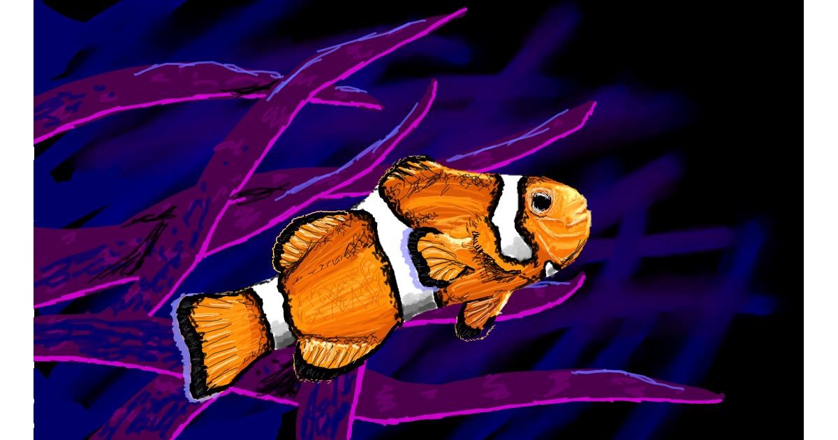 Watch Sam draw Clownfish!