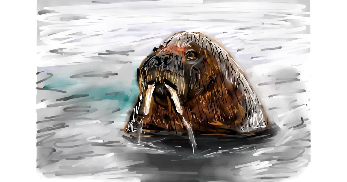 Watch Mia draw Walrus!