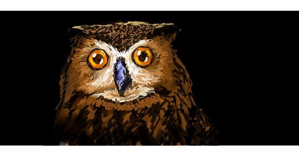 Drawing of Owl by Aneeyas - Drawize Gallery!