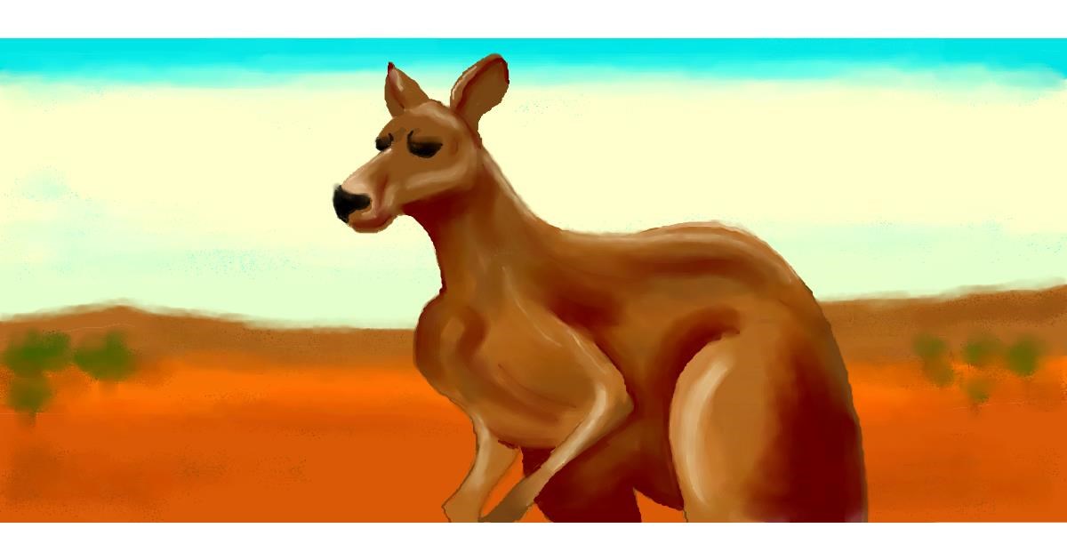 Watch Jenny draw Kangaroo!
