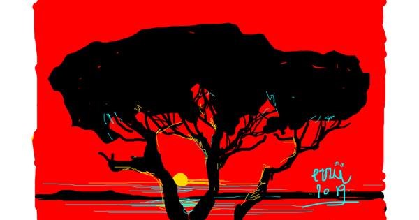 Drawing of Tree by Grey Sparrow - Drawize Gallery!