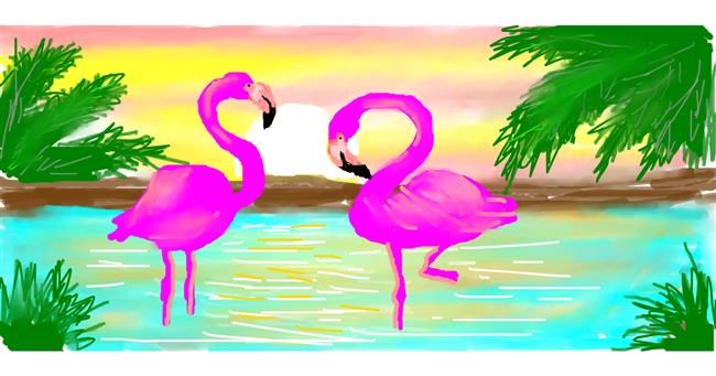 Drawing of Flamingo by Visay - Drawize Gallery!