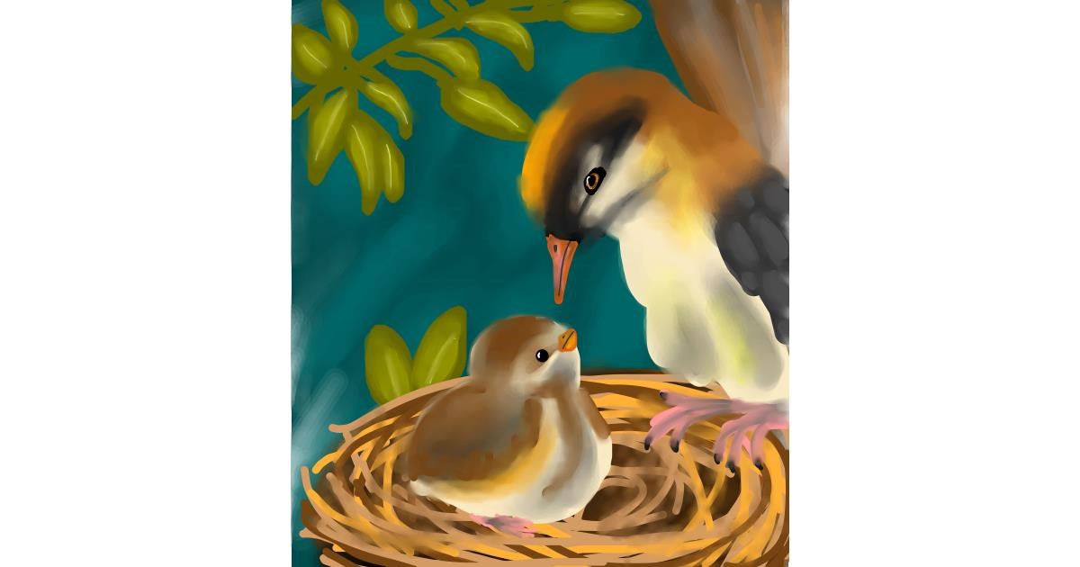 Watch Kate draw Nest!