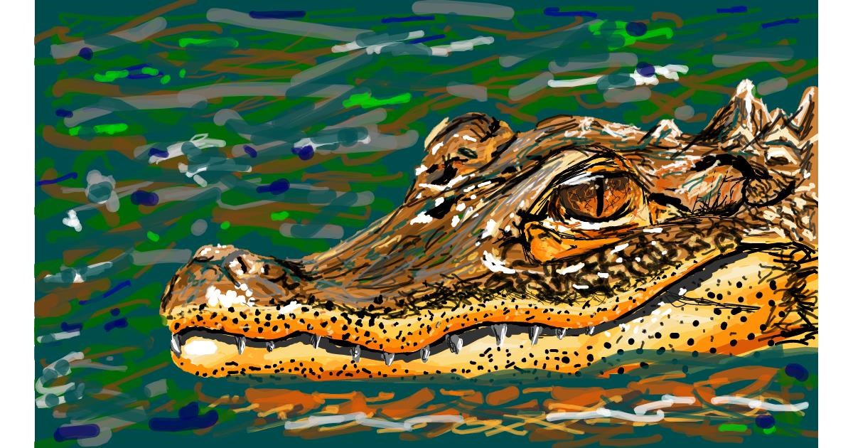 Drawing of Alligator by Sam - Drawize Gallery!