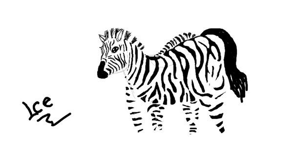 Zebra - crtež od autora: IceSleep - Drawize galerija!