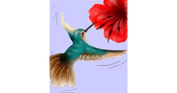 Drawing of Hummingbird by Cheeky - Drawize Gallery!