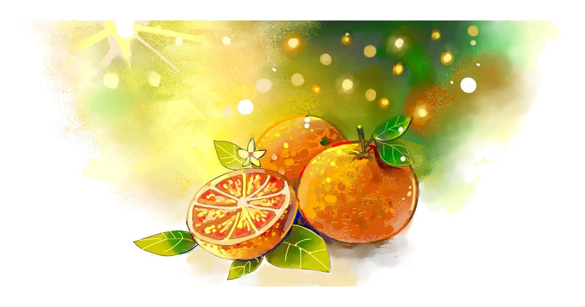 Orange Drawing - Gallery and How to Draw Videos!