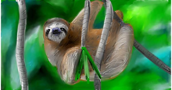 Drawing of Sloth by Mia - Drawize Gallery!