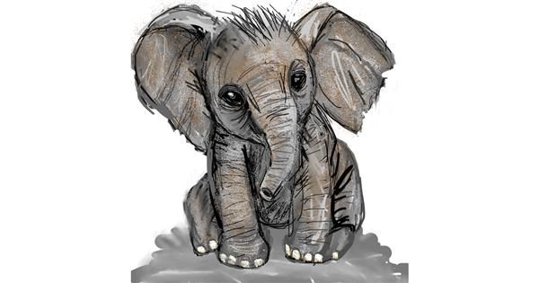 Drawing of Elephant by KayXXXlee - Drawize Gallery!