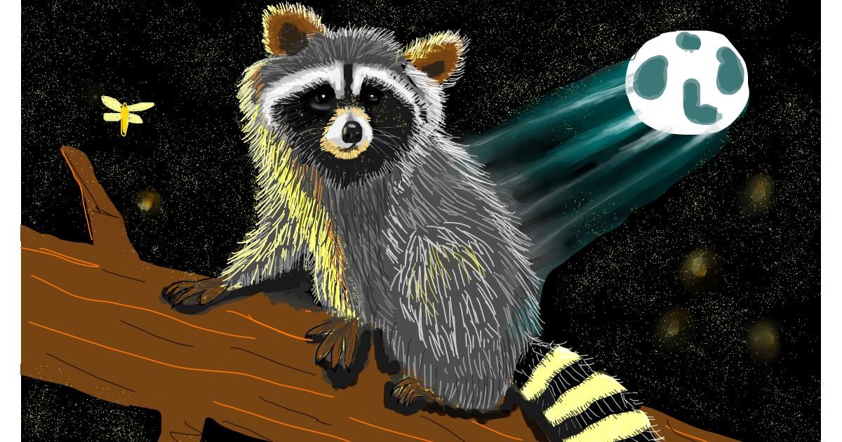 Watch Niny draw Raccoon!
