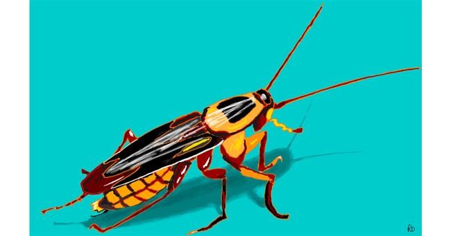 Drawing of Cockroach by flowerpot - Drawize Gallery!