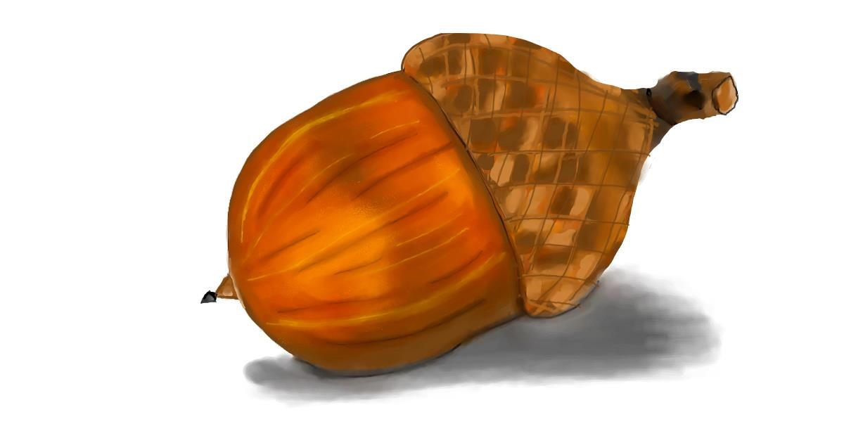 Watch DebbyLee draw Acorn!