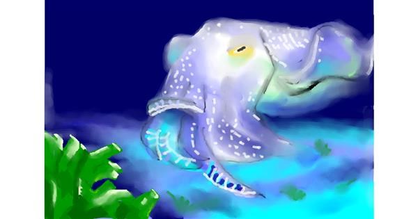 Drawing of Cuttlefish by Answer Streak - Drawize Gallery!