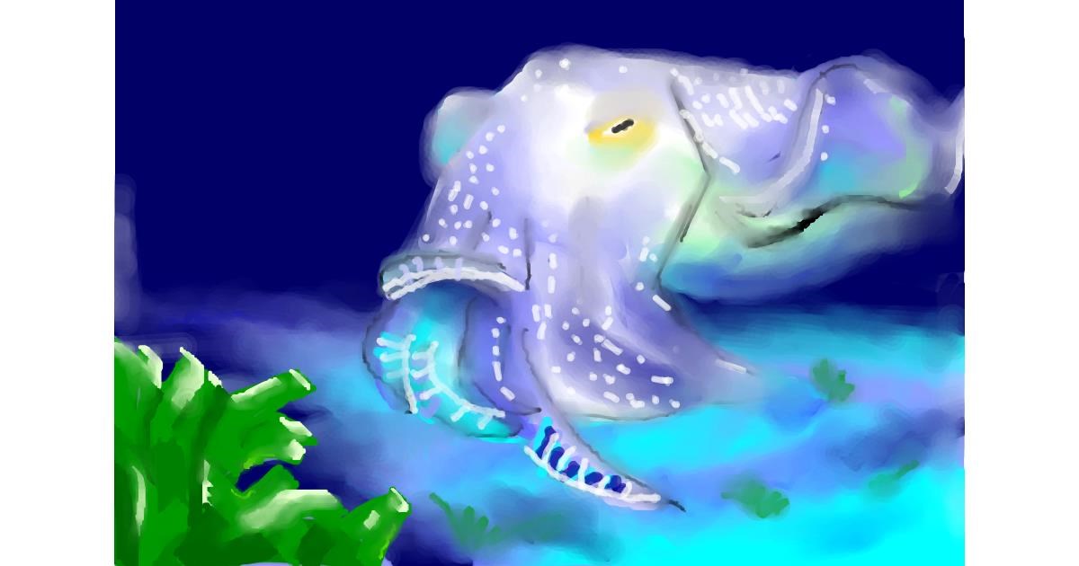 Watch Answer Streak draw Cuttlefish!