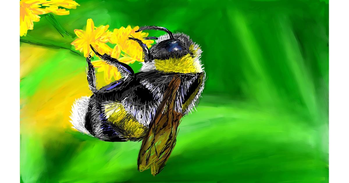 Drawing of Bumblebee by Soaring Sunshine - Drawize Gallery!