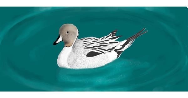 Patka - crtež od autora: Um - Drawize galerija!