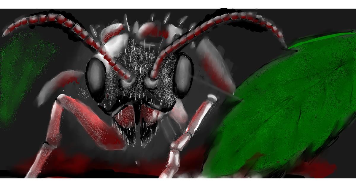 Watch SAM AKA MARGARET draw Ant!