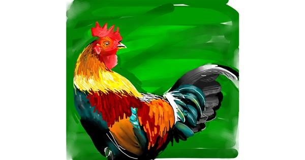 Drawing of Rooster by Rose rocket - Drawize Gallery!