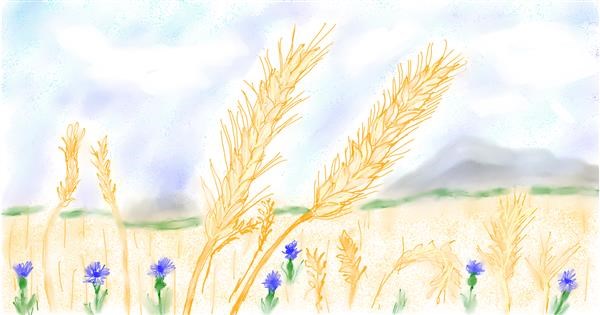 Drawing of Wheat by Maggy - Drawize Gallery!