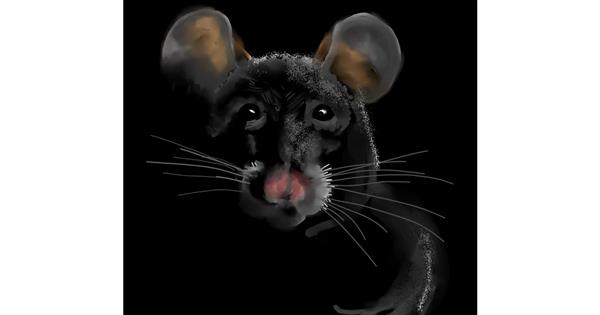 Drawing of Mouse by Not.Old.Train - Drawize Gallery!