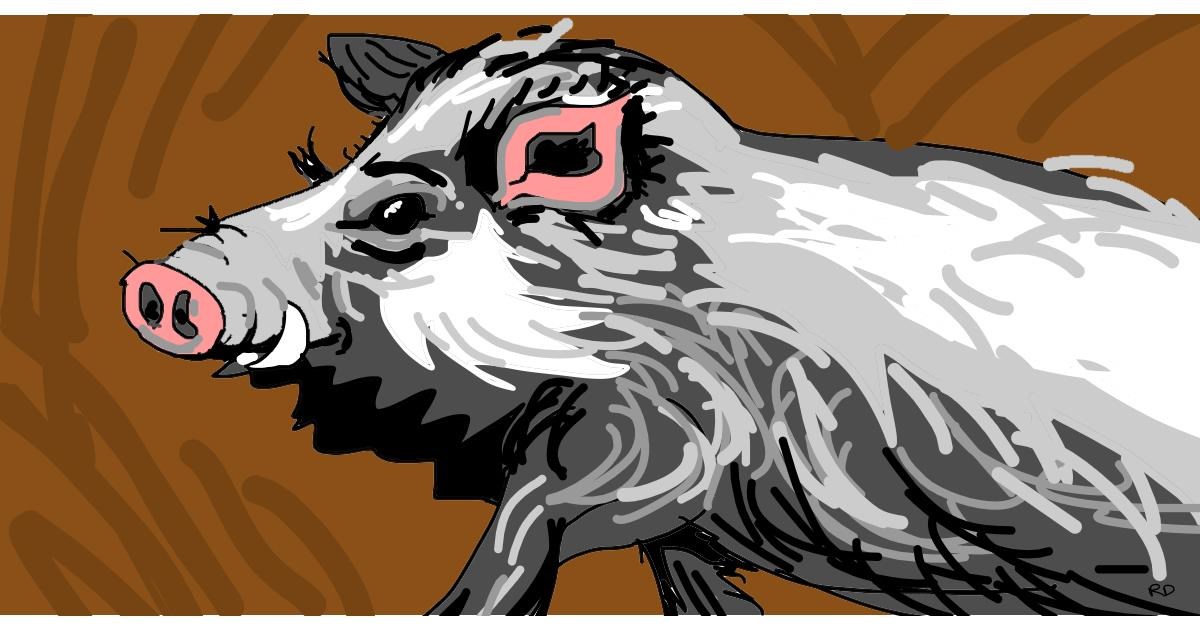 Watch Swimmer draw Wild boar!
