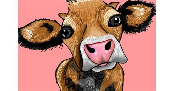 Drawing of Cow by Lollipop - Drawize Gallery!