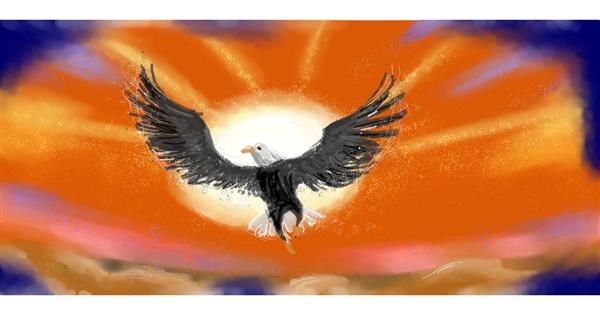 Drawing of Eagle by Sasa - Drawize Gallery!